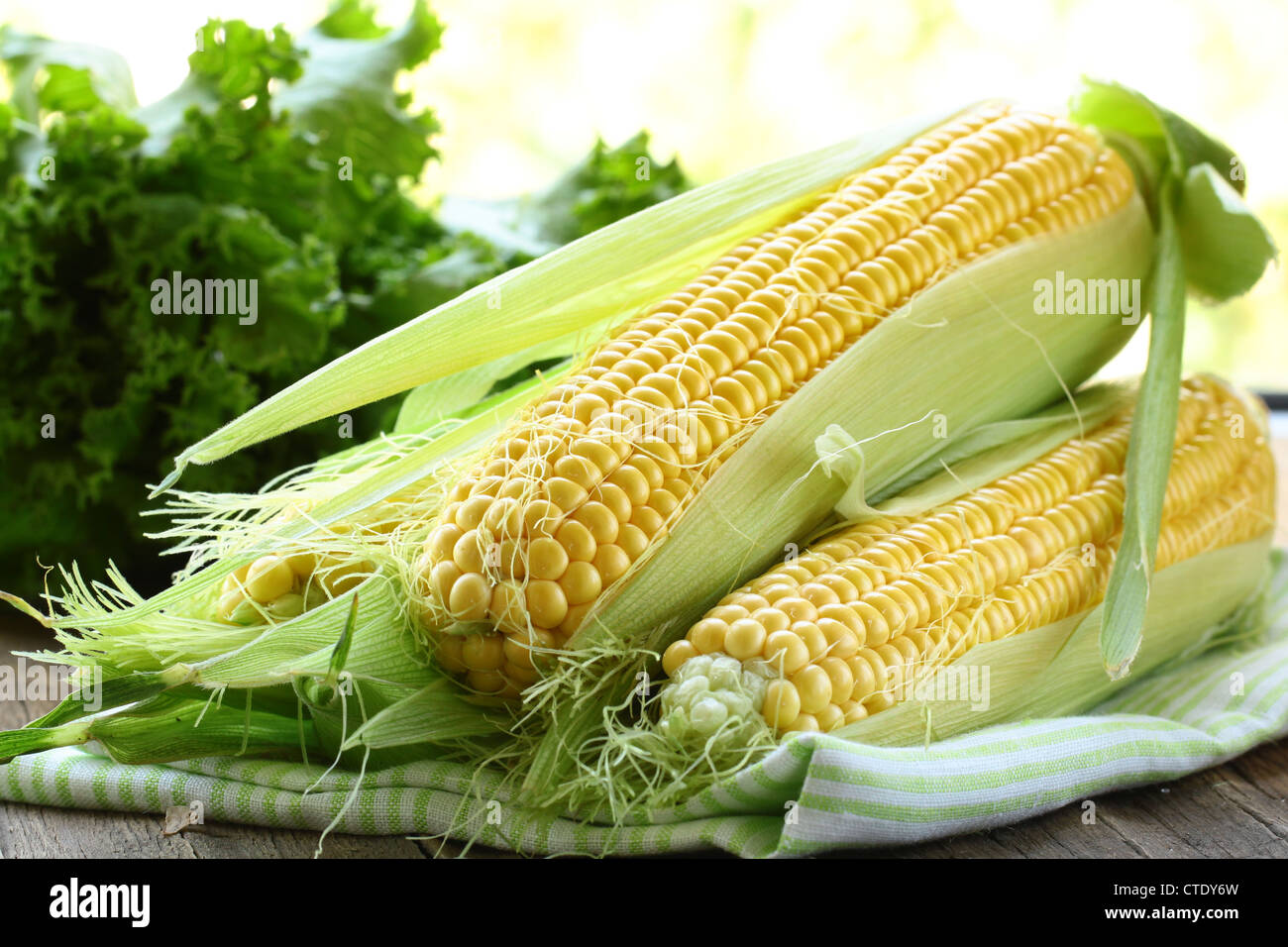 Corn husk cut hi-res stock photography and images - Alamy