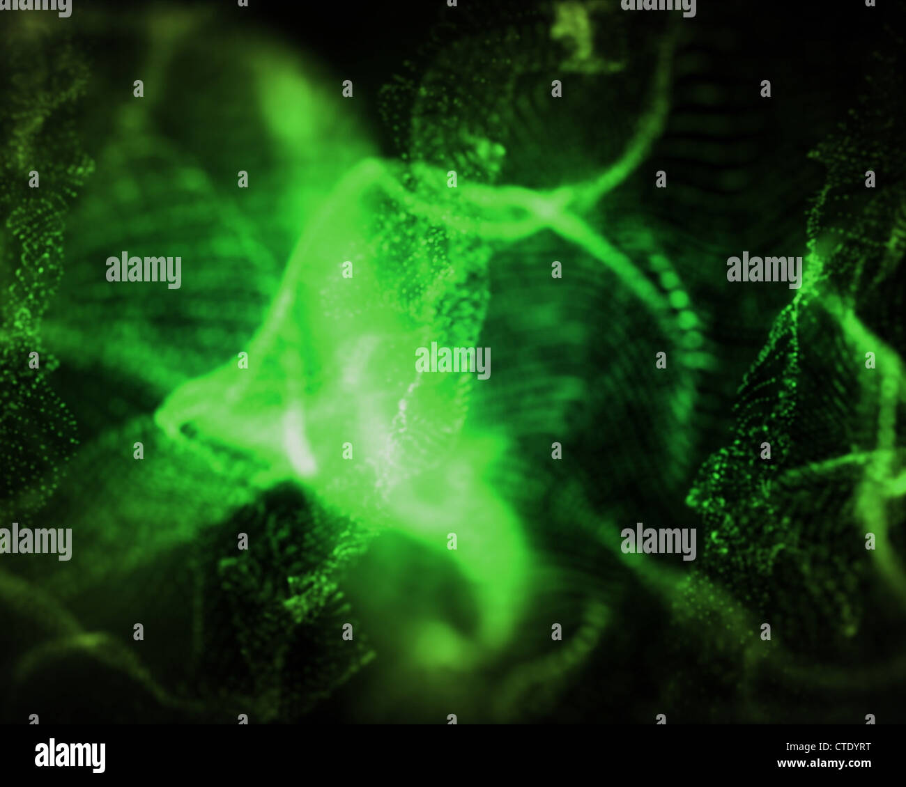 Indefinite shapes of green lights Stock Photo - Alamy