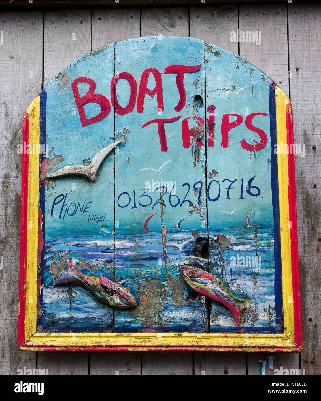 Boat Trips Sign Cadgwith Cove Cornwall UK Stock Photo - Alamy