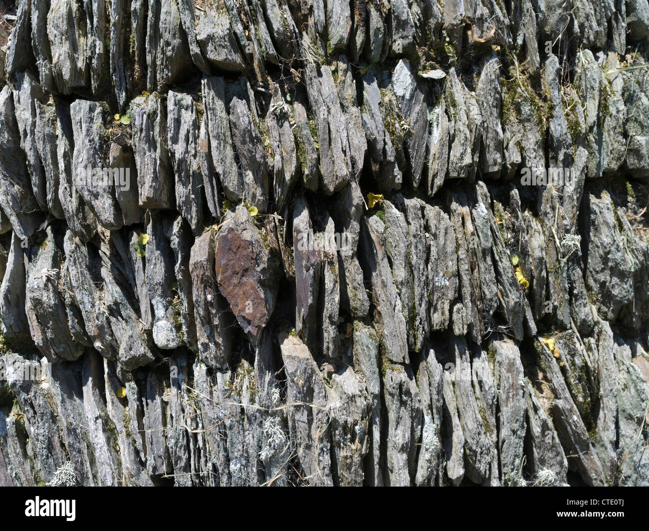 Devon dry stone walls hi-res stock photography and images - Alamy