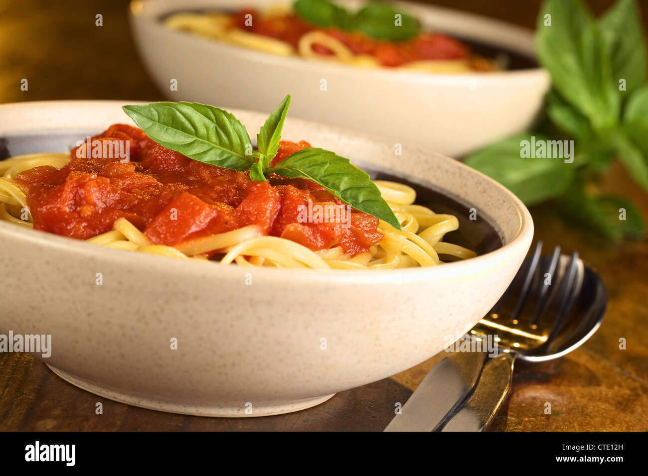 Spaghetti with tomato sauce garnished with a fresh basil leaf ...