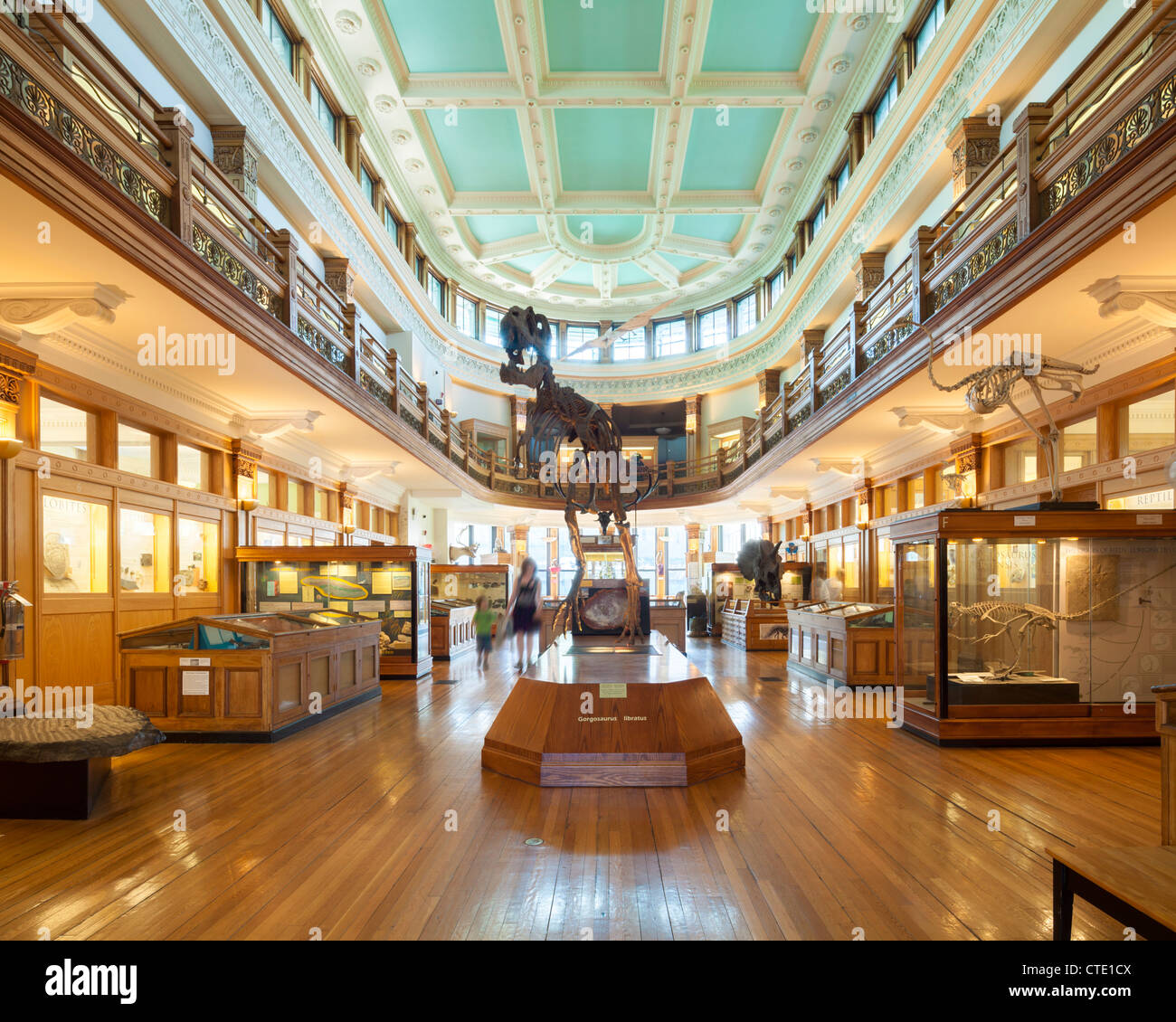 Redpath Museum, McGill University, Montreal Stock Photo - Alamy