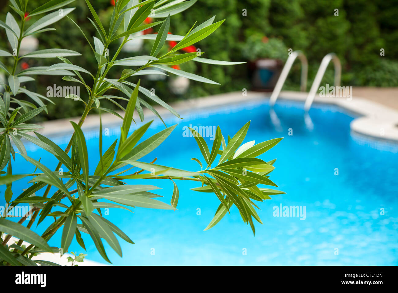 Swimming pool, close up photo, focus on foreground Stock Photo - Alamy