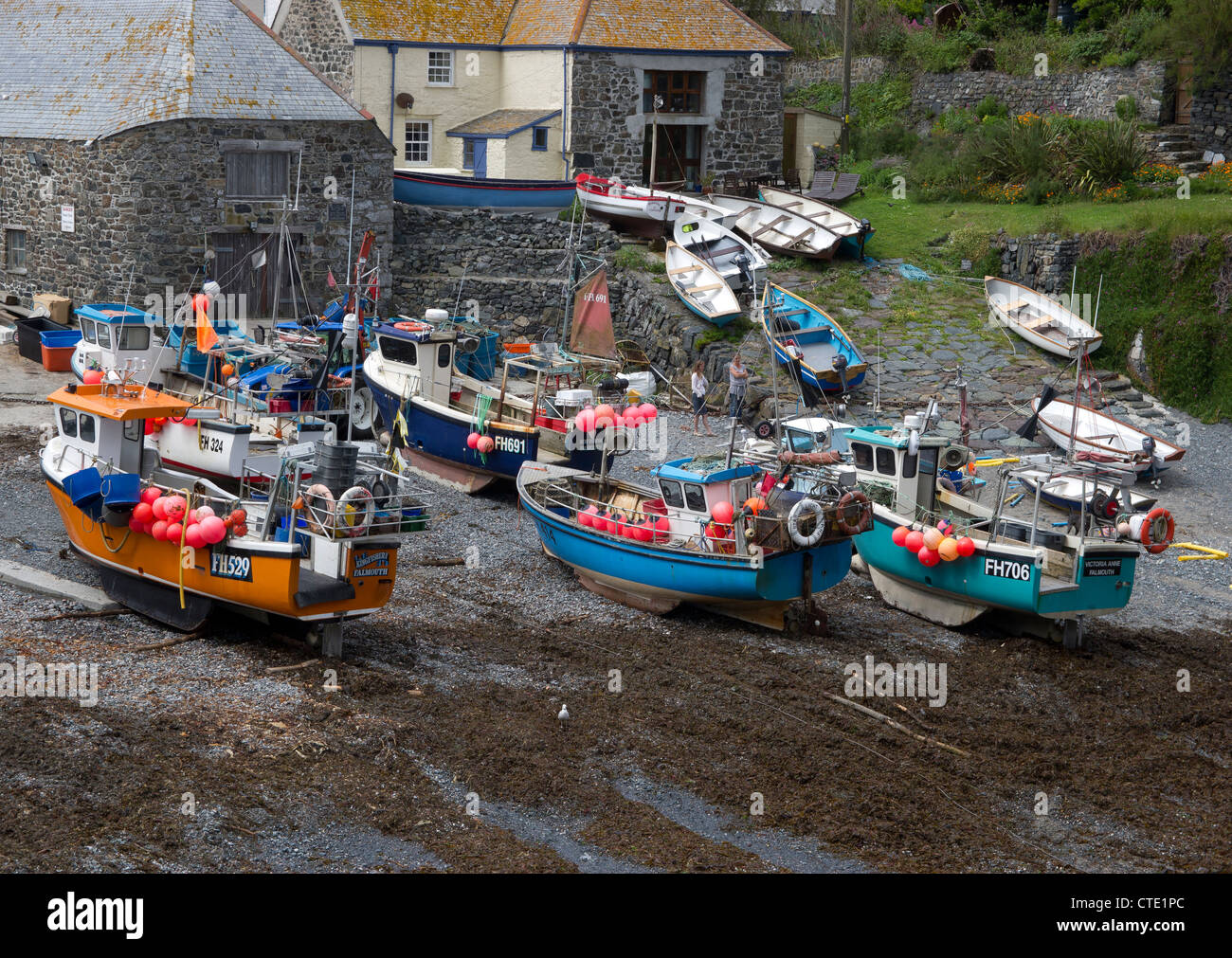 Cadgwith cove harbour fishing boats Cornwall UK Stock Photo - Alamy