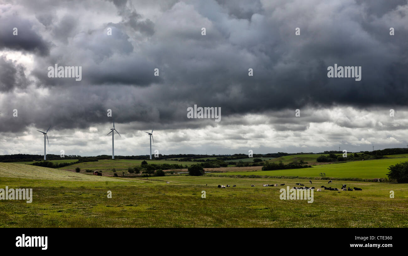 Summer landscape with clouds, wind turbines and cows, Denmark Stock ...