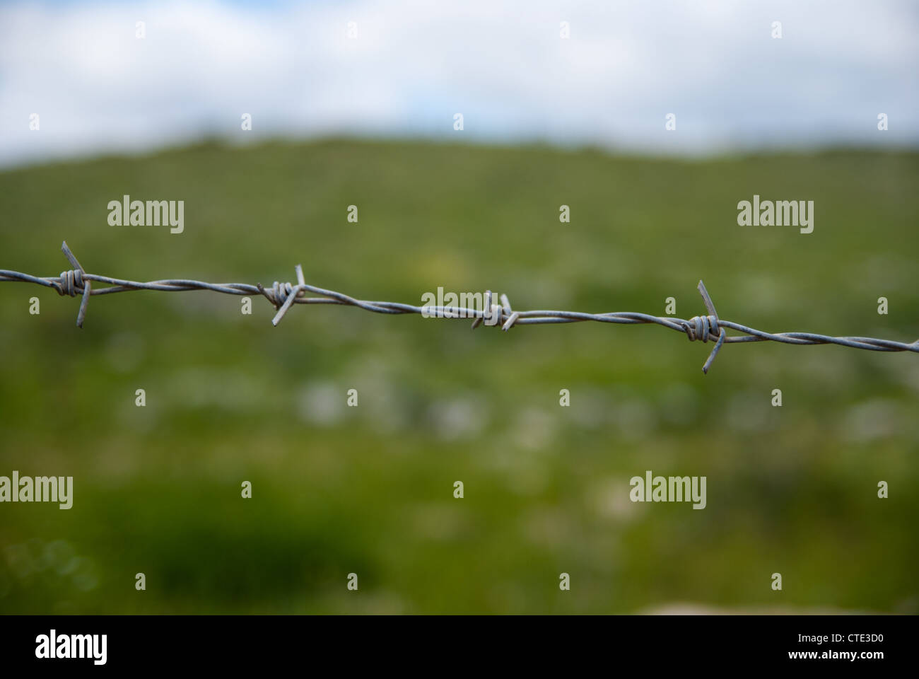 Captured barbed wire hi-res stock photography and images - Alamy