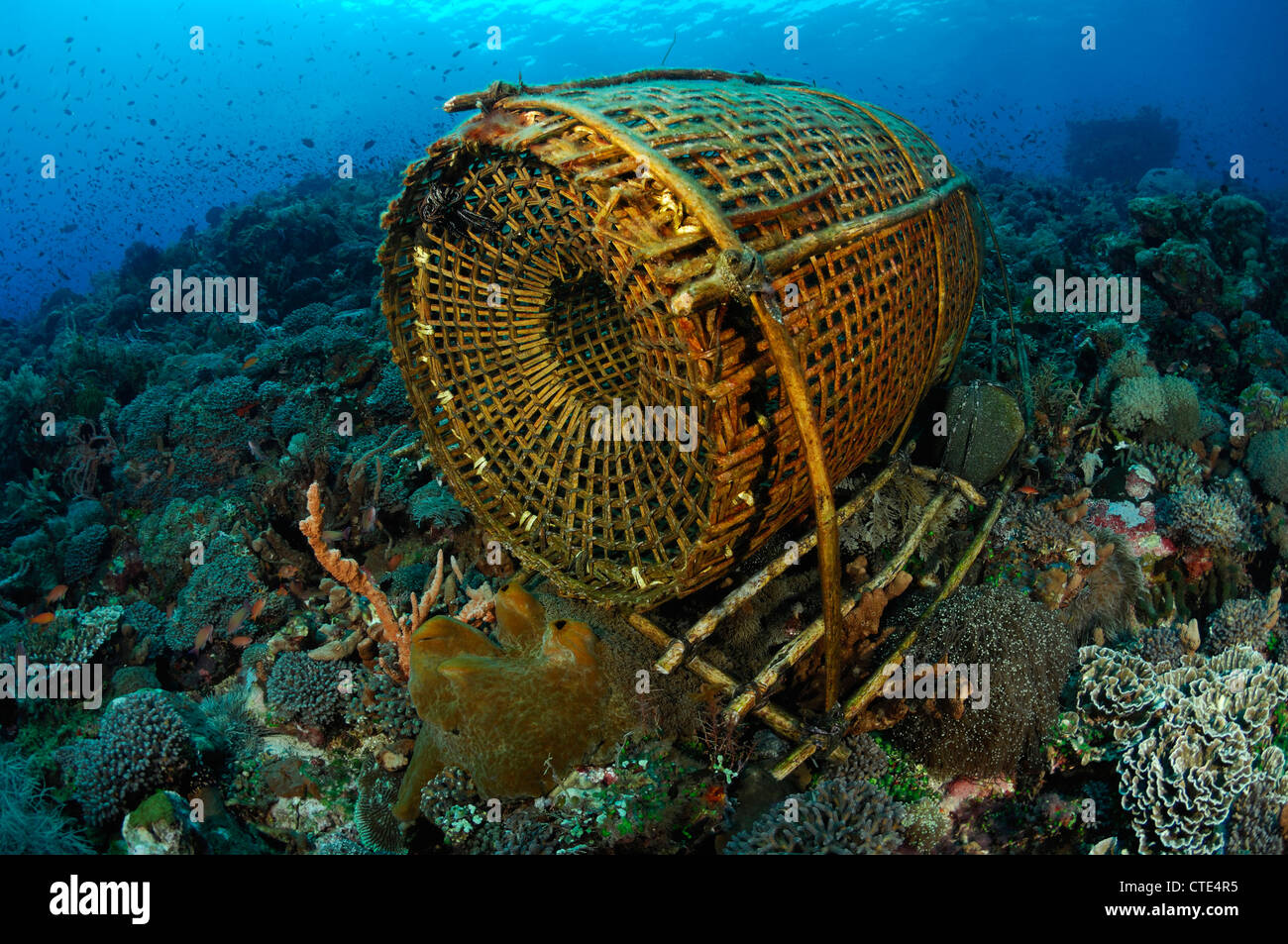 Marine trap hi-res stock photography and images - Alamy