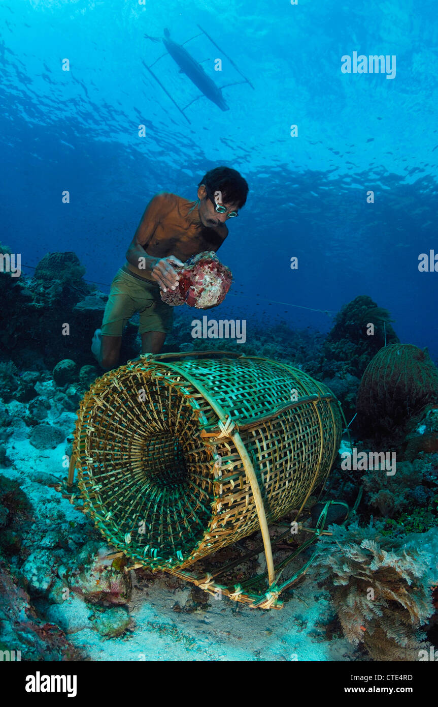 Fisherman preparing Fishing Trap, Alor, Indonesia Stock Photo - Alamy