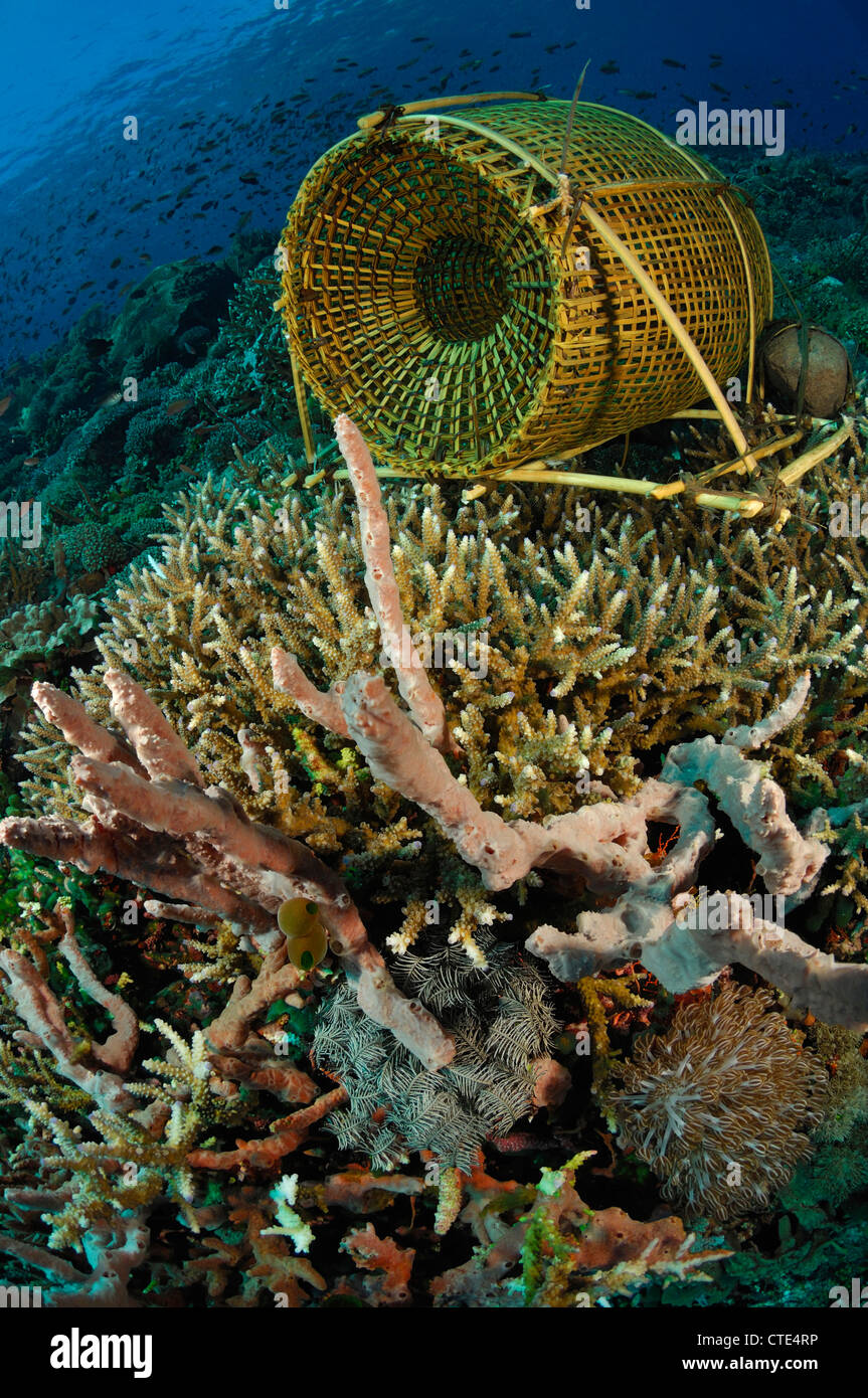 Fishing Trap, Alor, Indonesia Stock Photo - Alamy