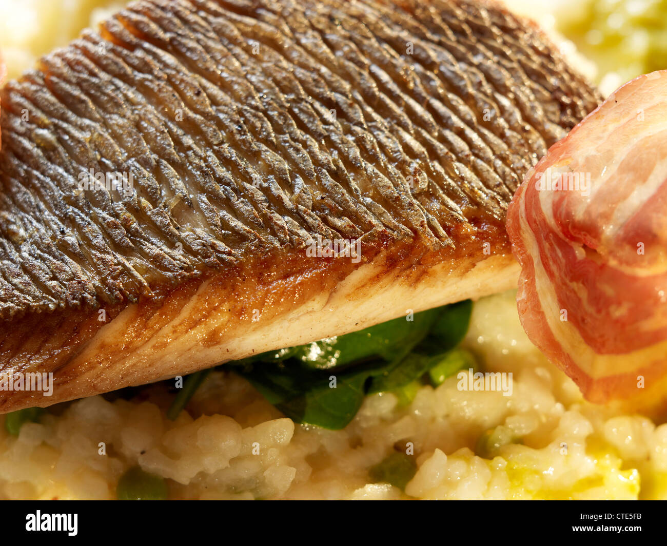 photograph of pan fried fish / cod on a bed of mash and peas with bacon ...
