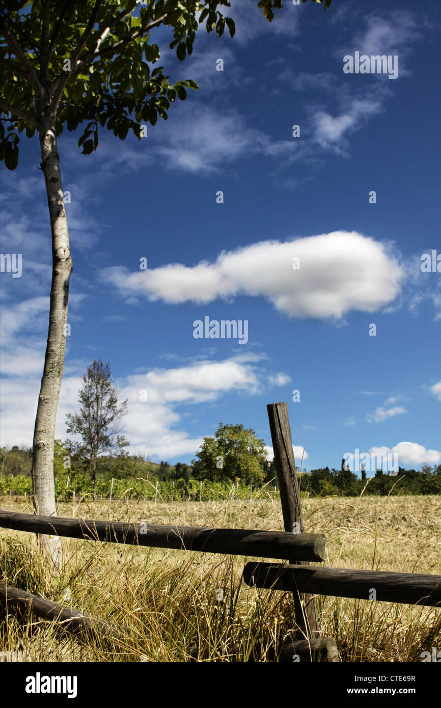 Bologna (IT) - Wood fence in a yellow field with tree Stock Photo - Alamy