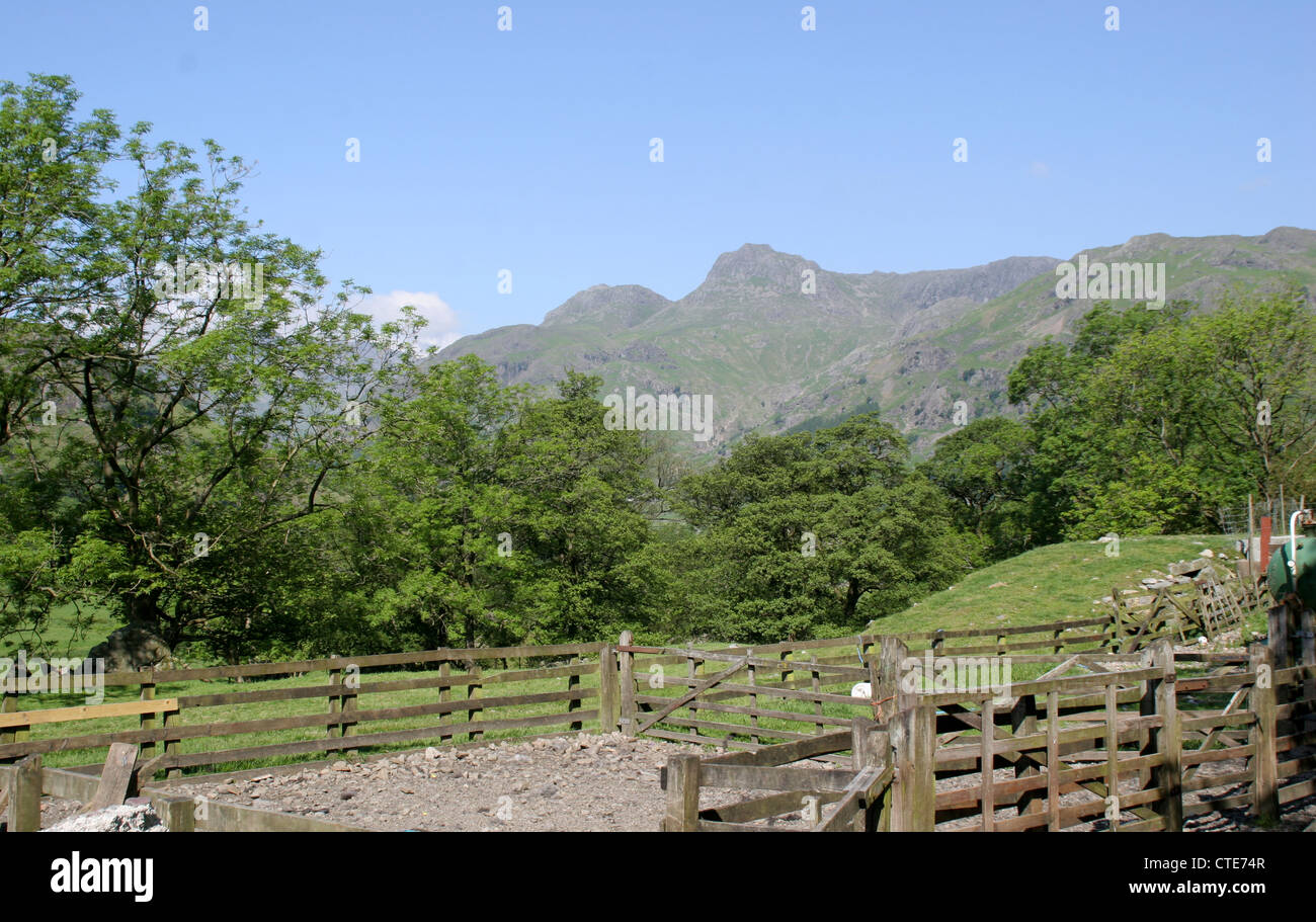 Langdale Pikes from Chapel Stile Lake District Cumbria England UK Stock ...