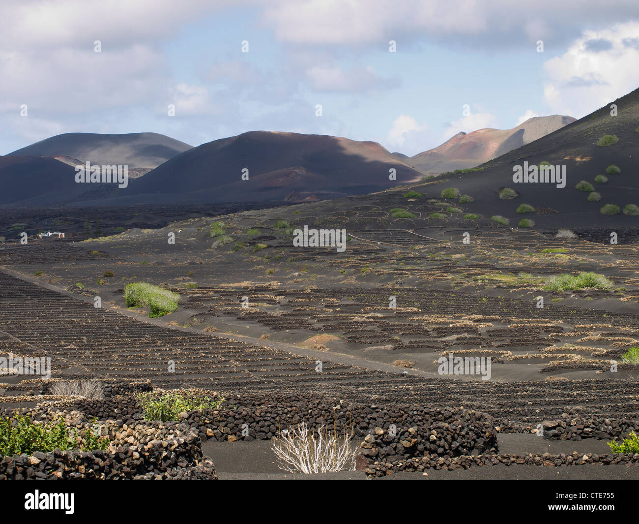 Black sand vineyard hi-res stock photography and images - Alamy