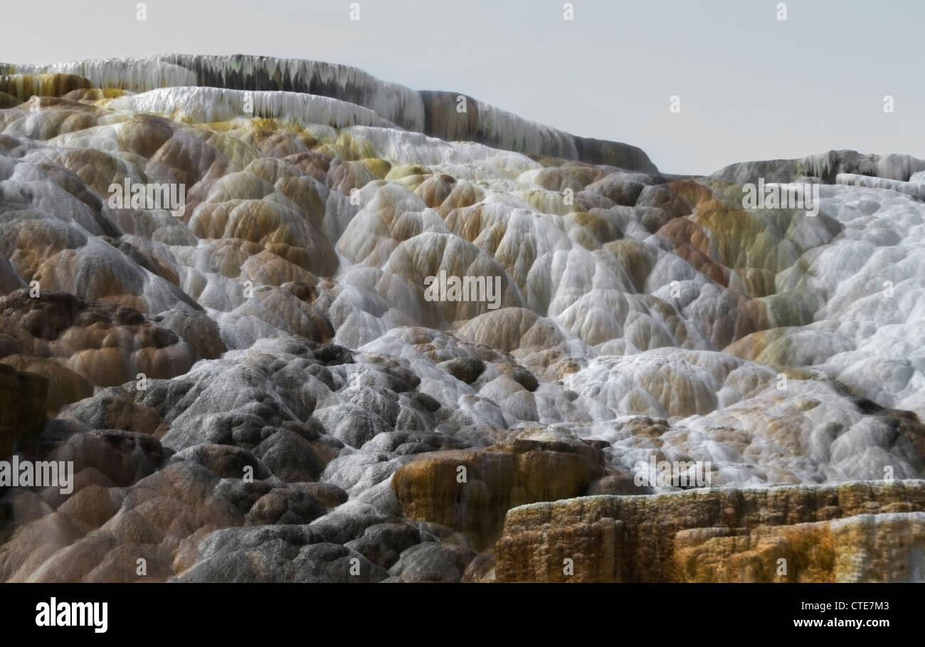 Mammoth Hot Springs terraces of calcium carbonate Yellowstone National ...