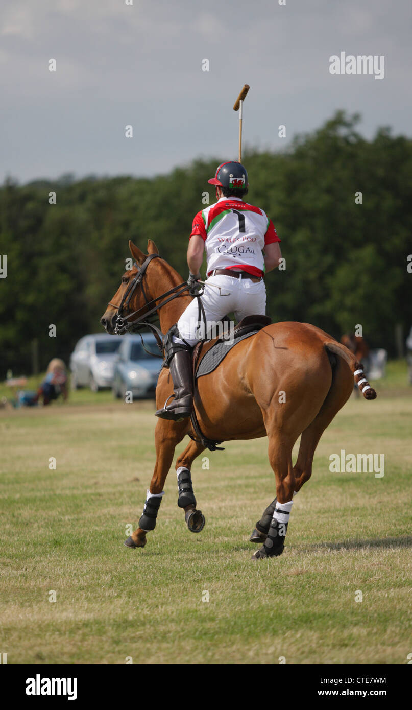 Ricky cooper polo hi-res stock photography and images - Alamy