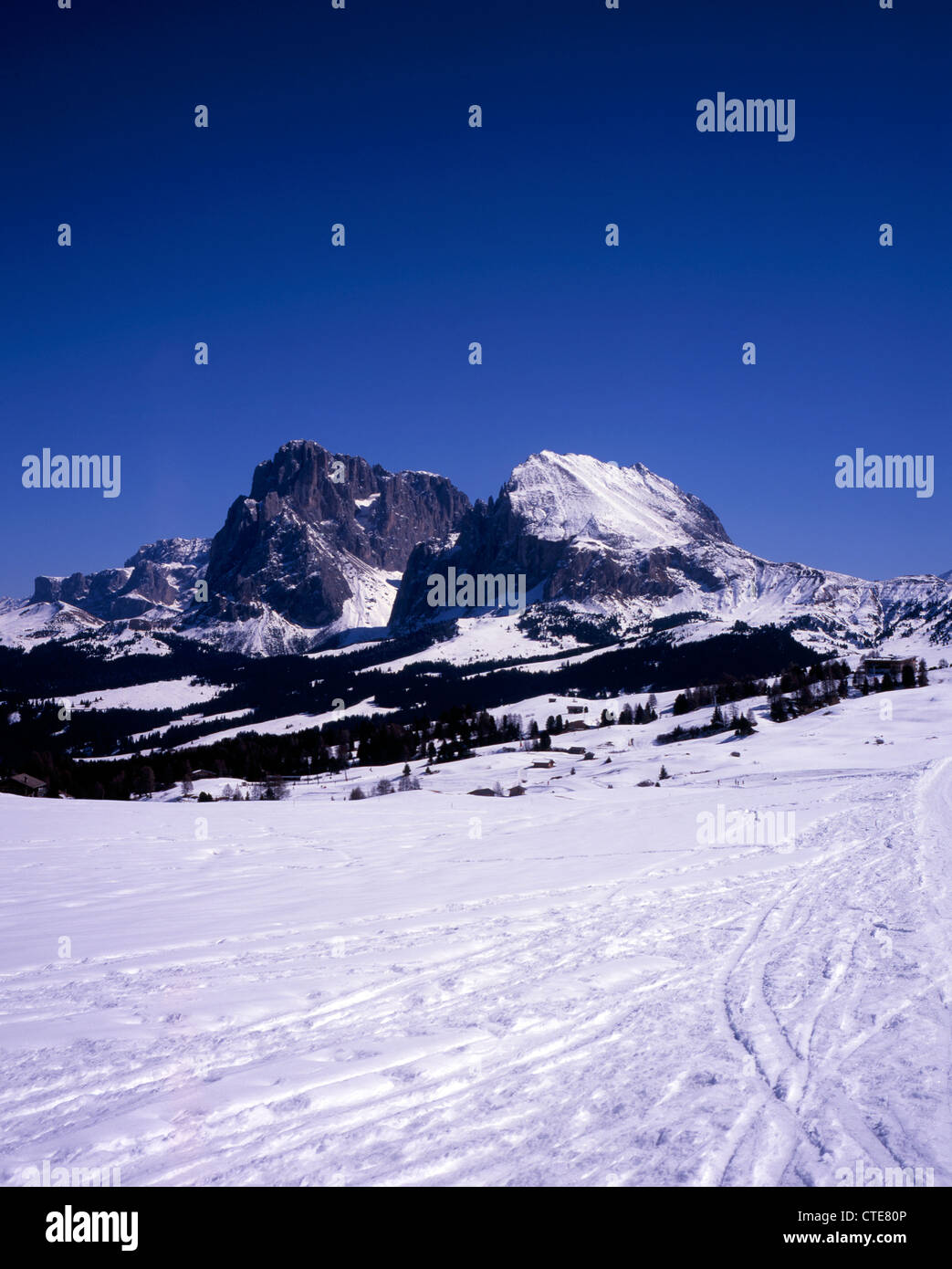 Sassolungo Langkofel and Sasso Piatto Plattkofel Sasplat above The Alpe ...
