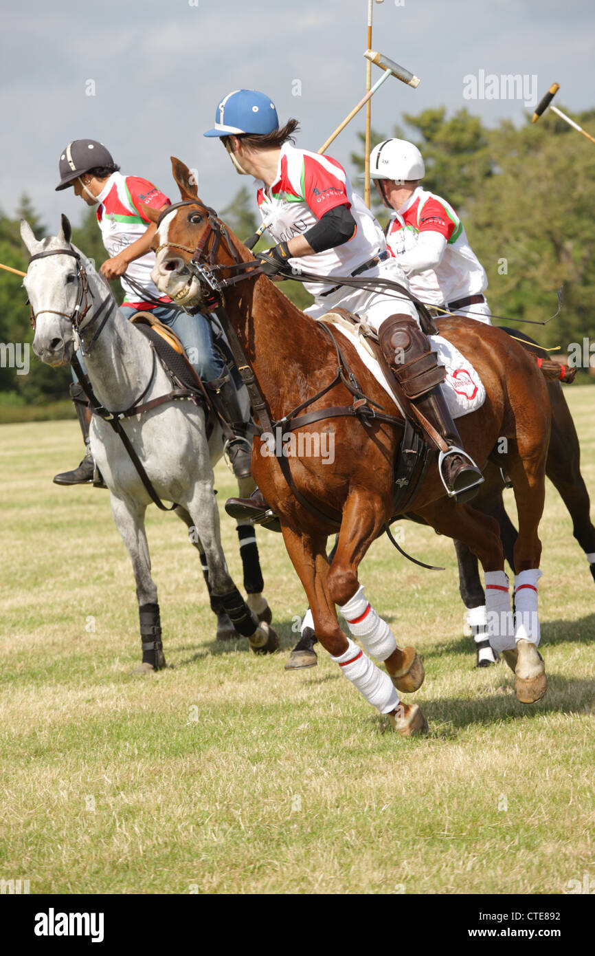 Ricky cooper wales polo hi-res stock photography and images - Alamy