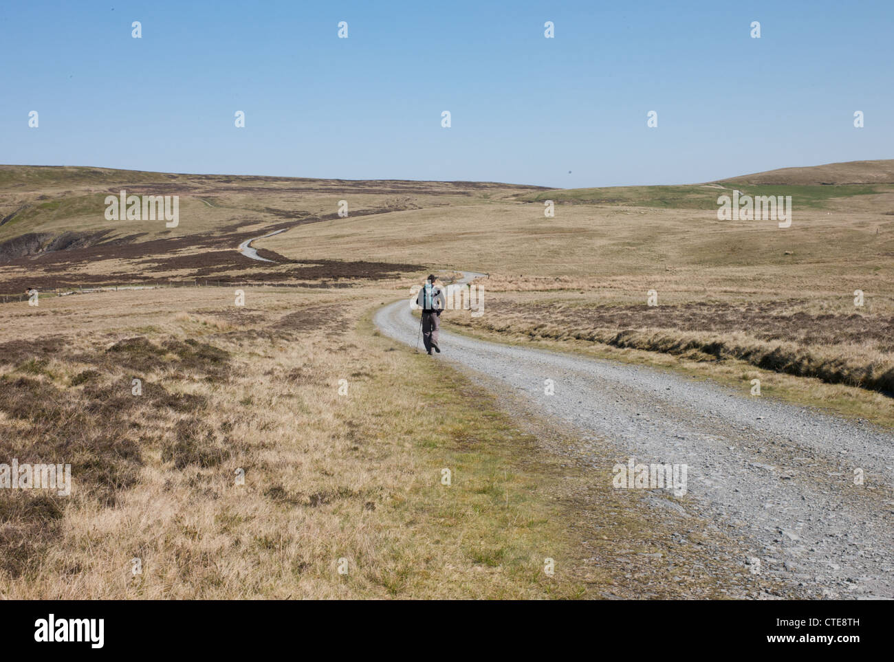Man walking on trail in the Welsh countryside Stock Photo - Alamy