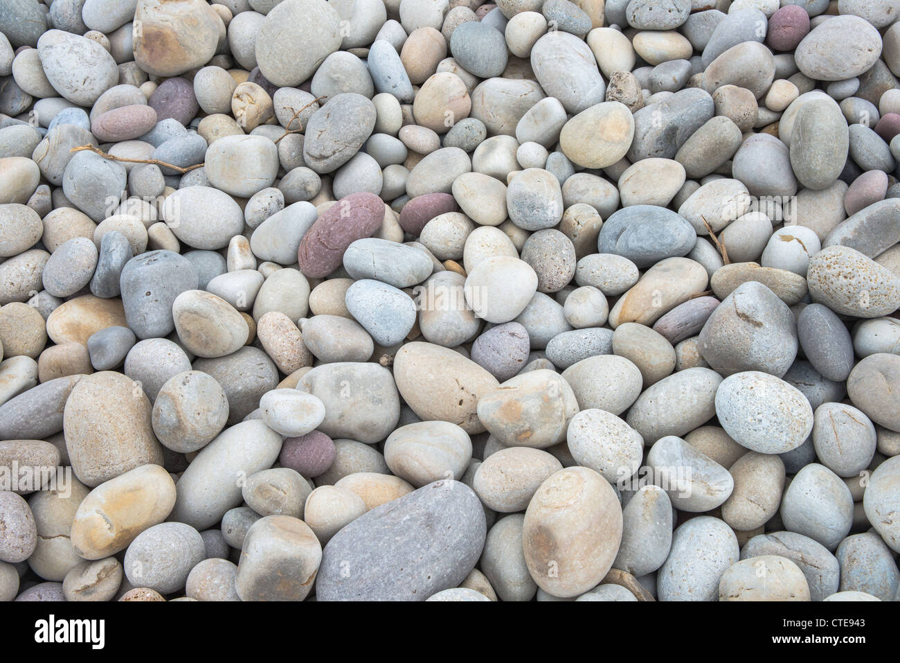 Beach pebbles, dry and mixed in colour, sizes and tones Stock Photo - Alamy
