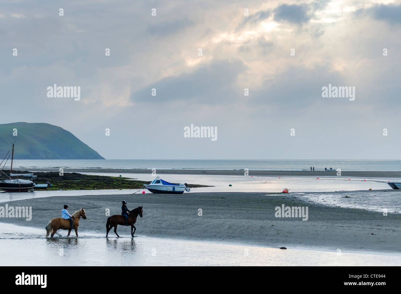 Evening, horseriders on The Parrog, Newport, Pembrokeshire national ...