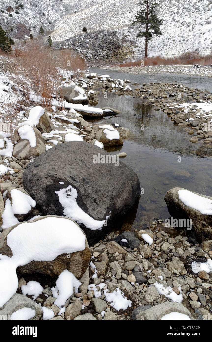 Walker river california usa hi-res stock photography and images - Alamy
