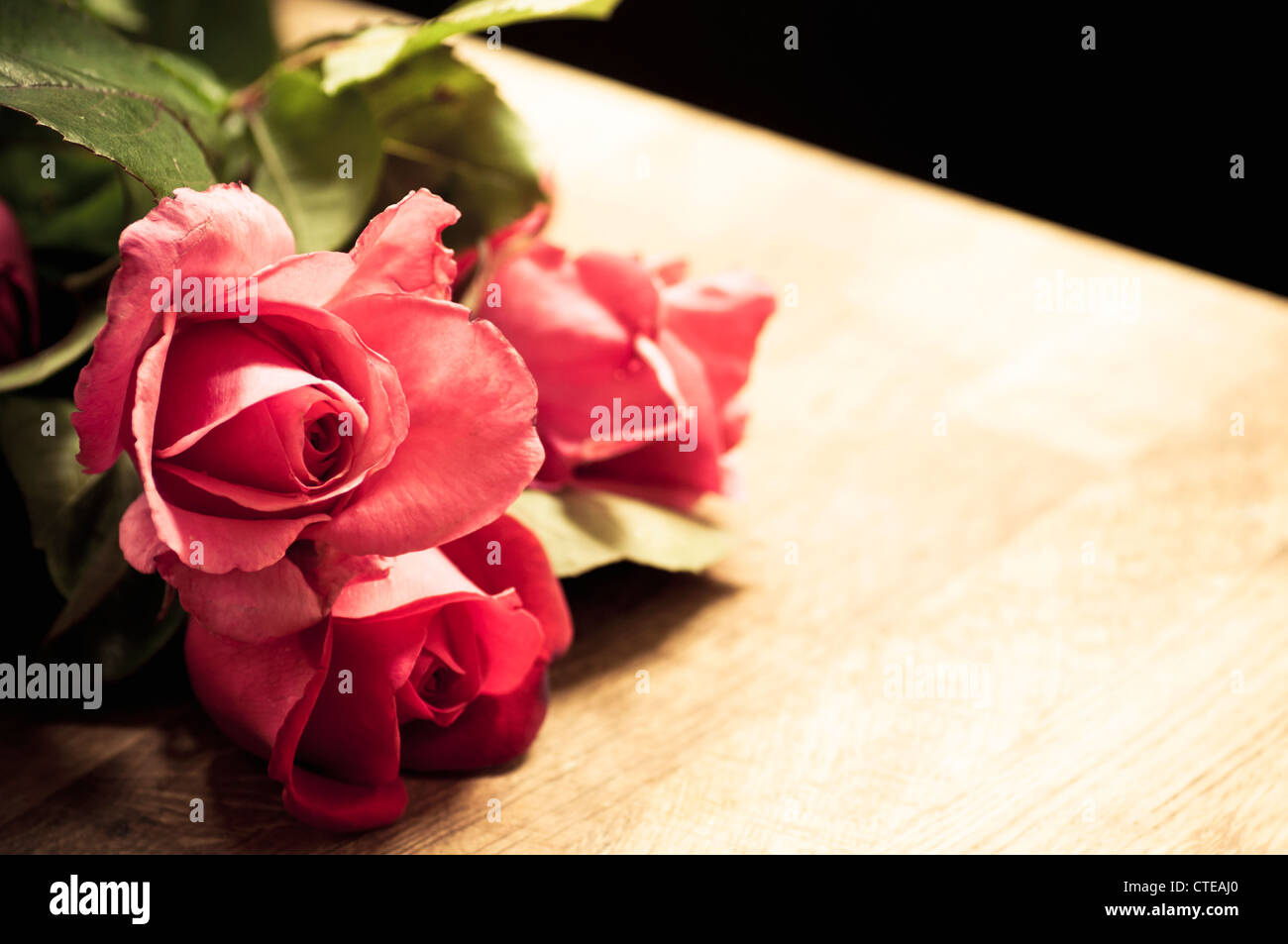 Vintage red roses Stock Photo - Alamy