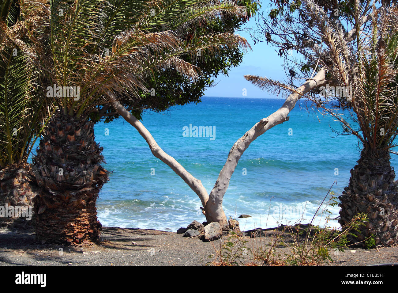 tropical sea view Stock Photo - Alamy