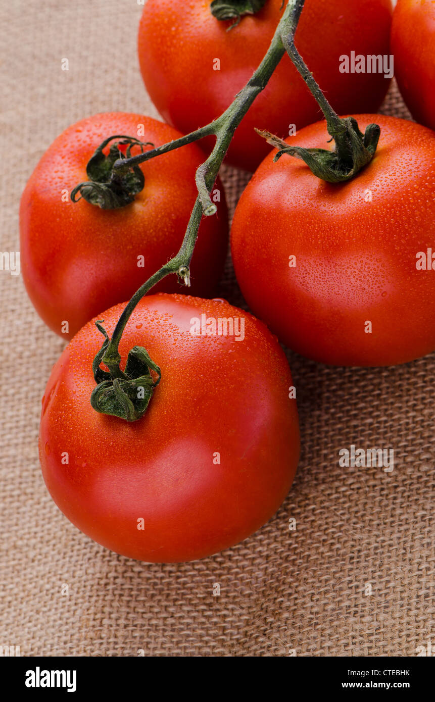 Cherry Tomatoes on the vine over raffia background Stock Photo - Alamy