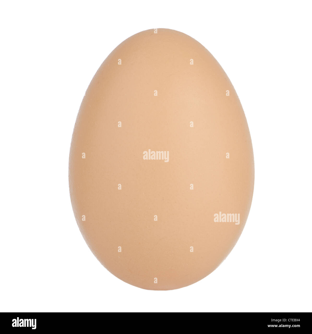 Close up of egg isolated on white background Stock Photo - Alamy