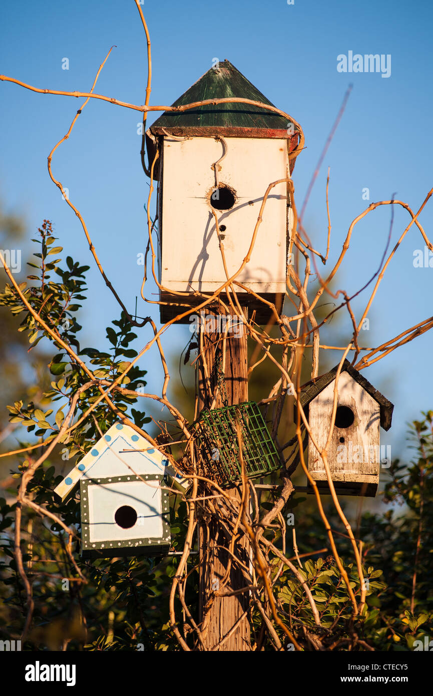 Three bird houses mounted on a wooden post Stock Photo - Alamy