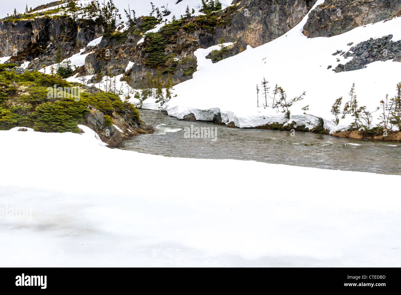White Pass and Yukon Route (WP&YR) Railroad train ride from Skagway ...