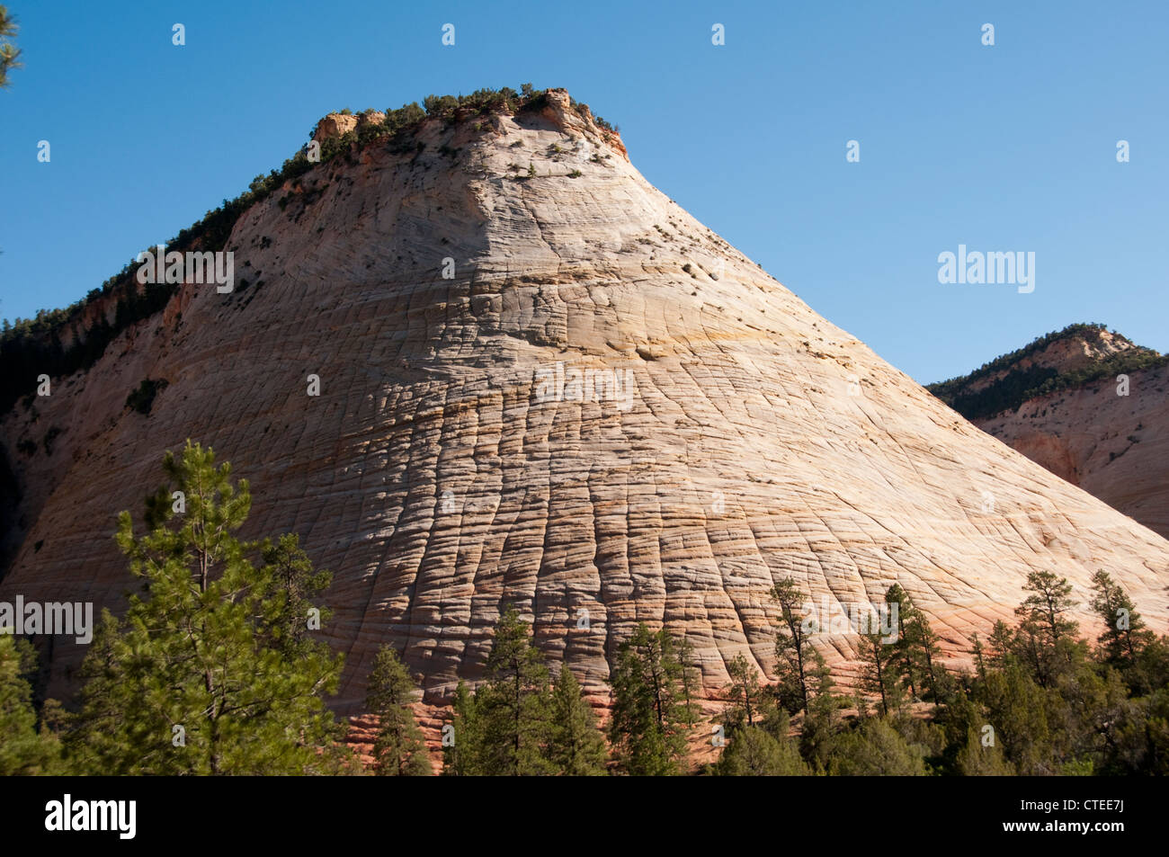 Checkerboard form hi-res stock photography and images - Alamy