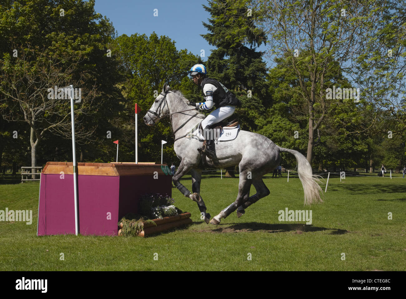 Morgan Horse Galloping High Resolution Stock Photography and Images - Alamy