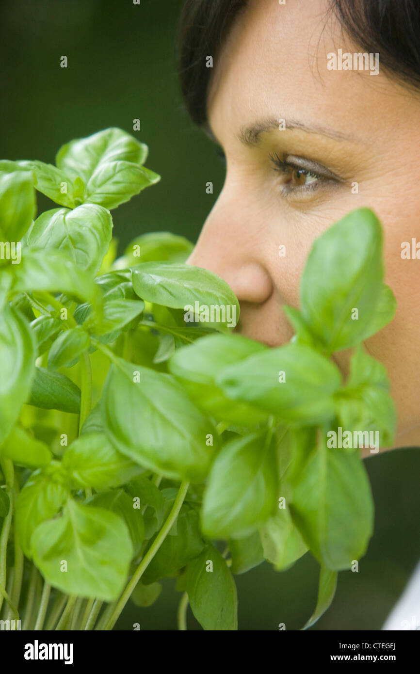 Woman smelling fresh basil Stock Photo - Alamy
