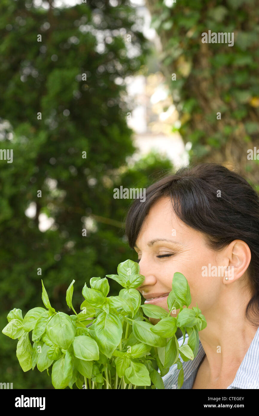 Woman smelling fresh basil Stock Photo - Alamy
