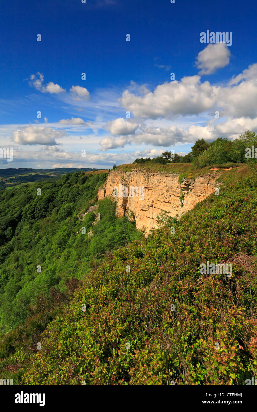 The Cleveland Way above Whitestone Cliffs on Sutton Bank near Thirsk ...