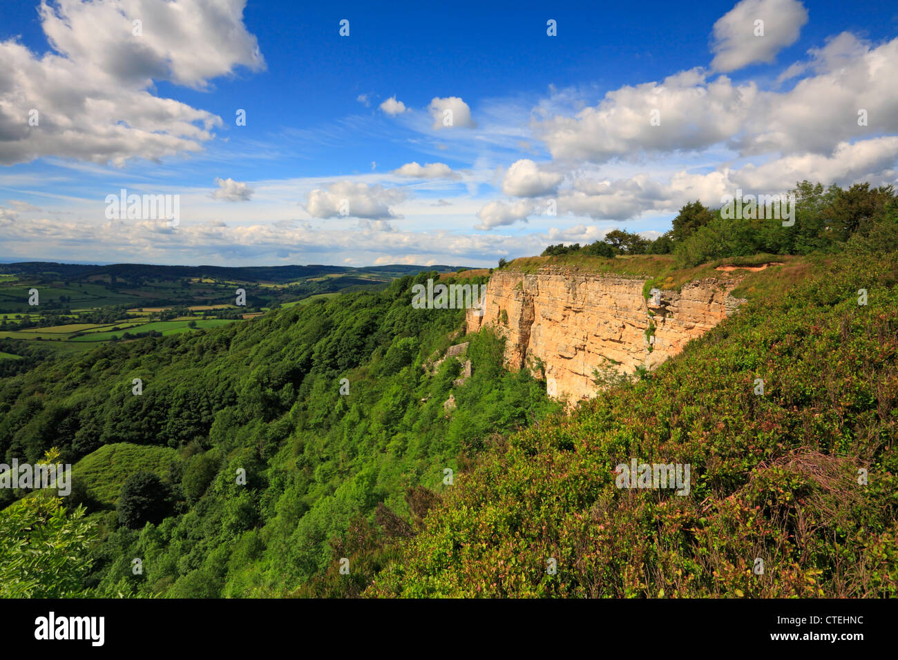 Whitestone hi-res stock photography and images - Alamy