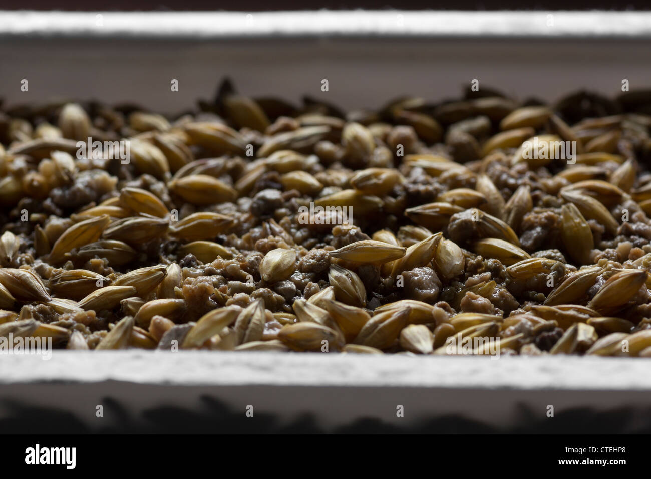 Seed grass seeds grasses hi-res stock photography and images - Alamy