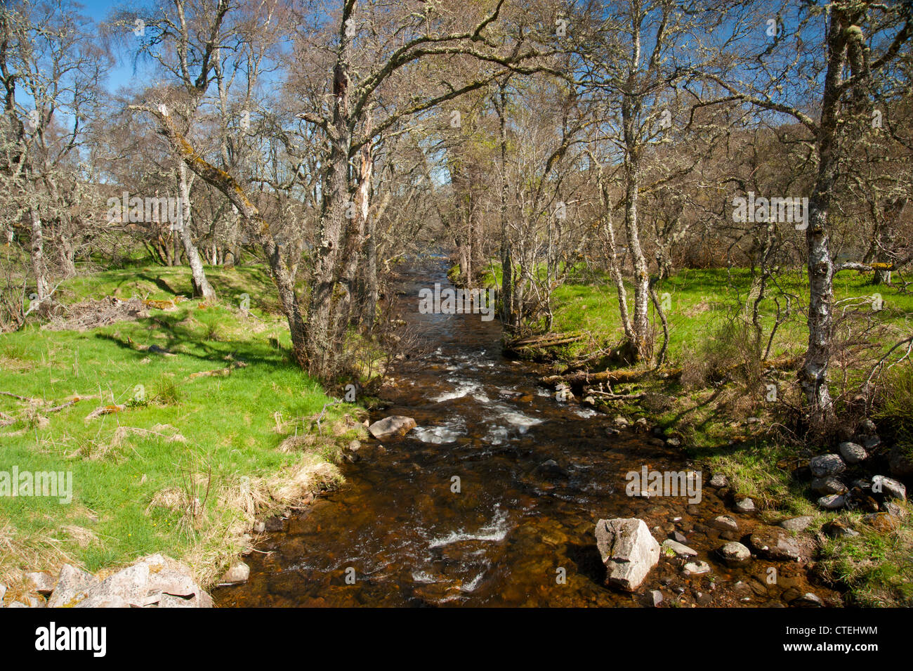 Freshwater Stream that feeds into the Scottish River Spey a mile down ...