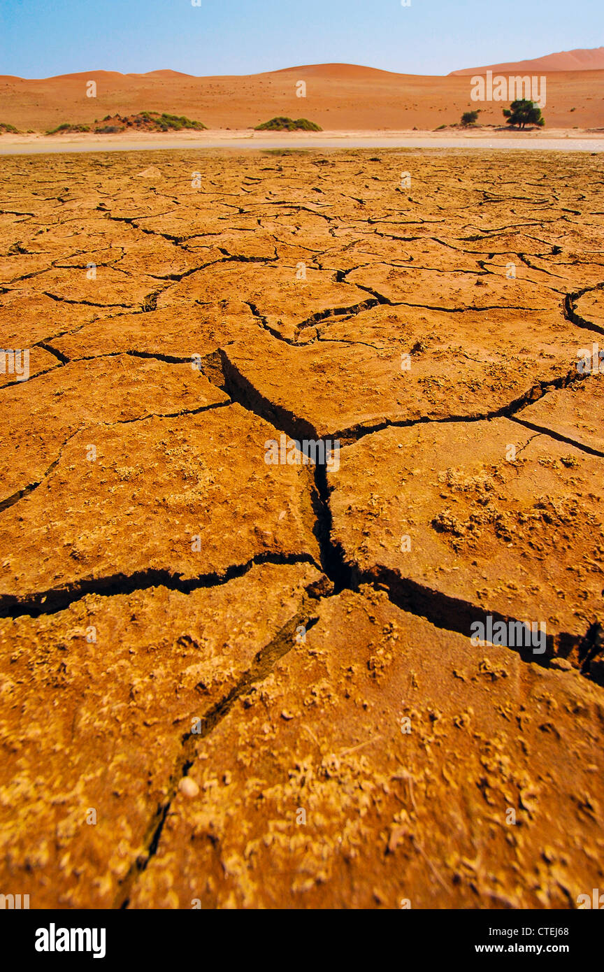 Dried lake in the Namib desert, Namibia Stock Photo - Alamy
