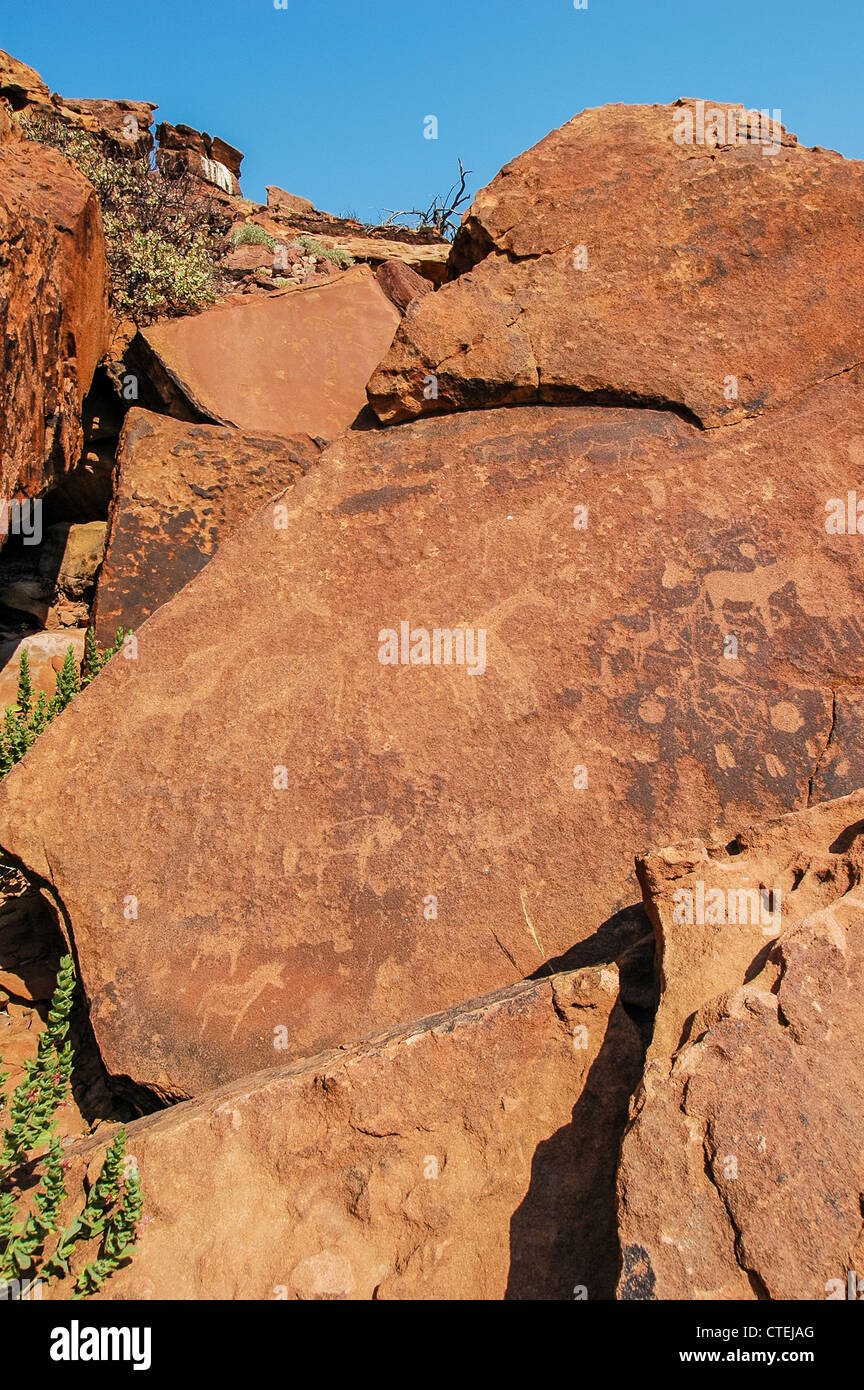 rock paintings at Twyfelfontein, Namibia Stock Photo - Alamy