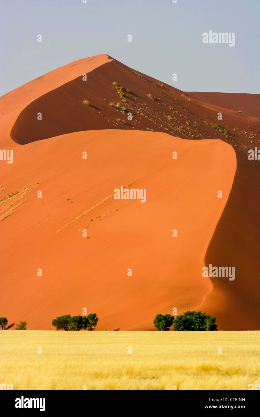 Red sand dune in the Namib desert, Namibia Stock Photo - Alamy