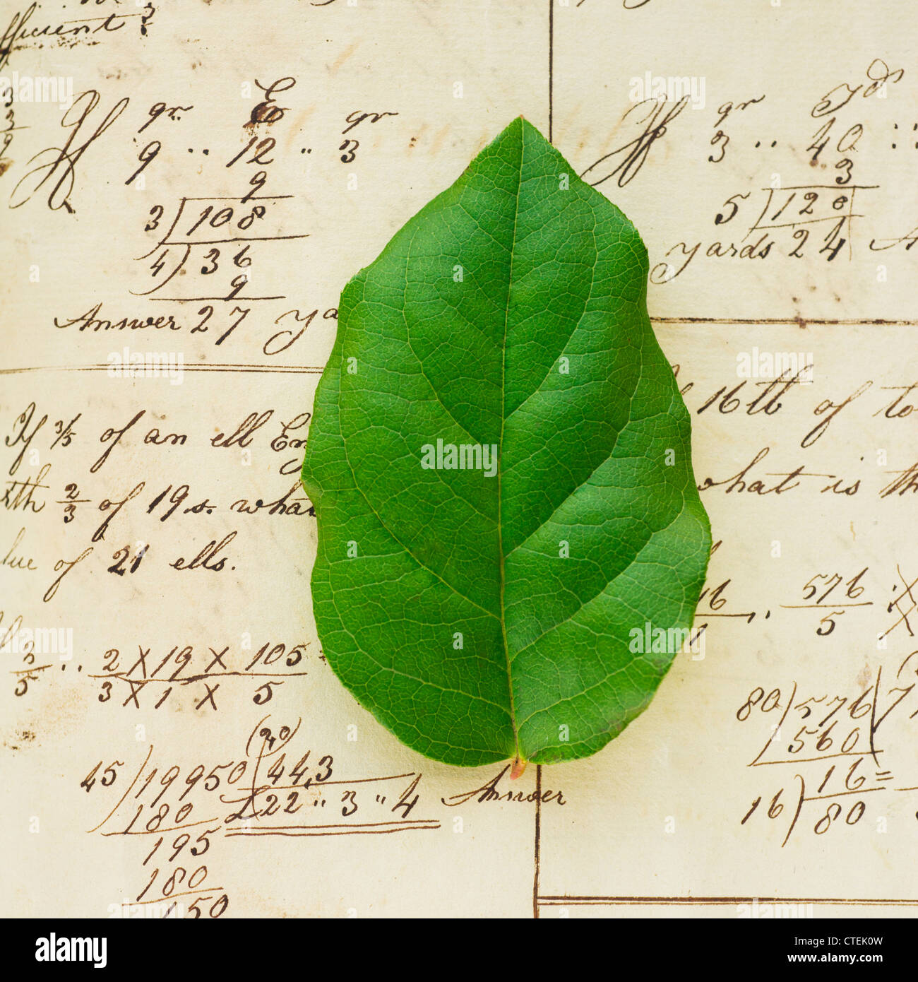 Close up shot spreadsheet hi-res stock photography and images - Alamy