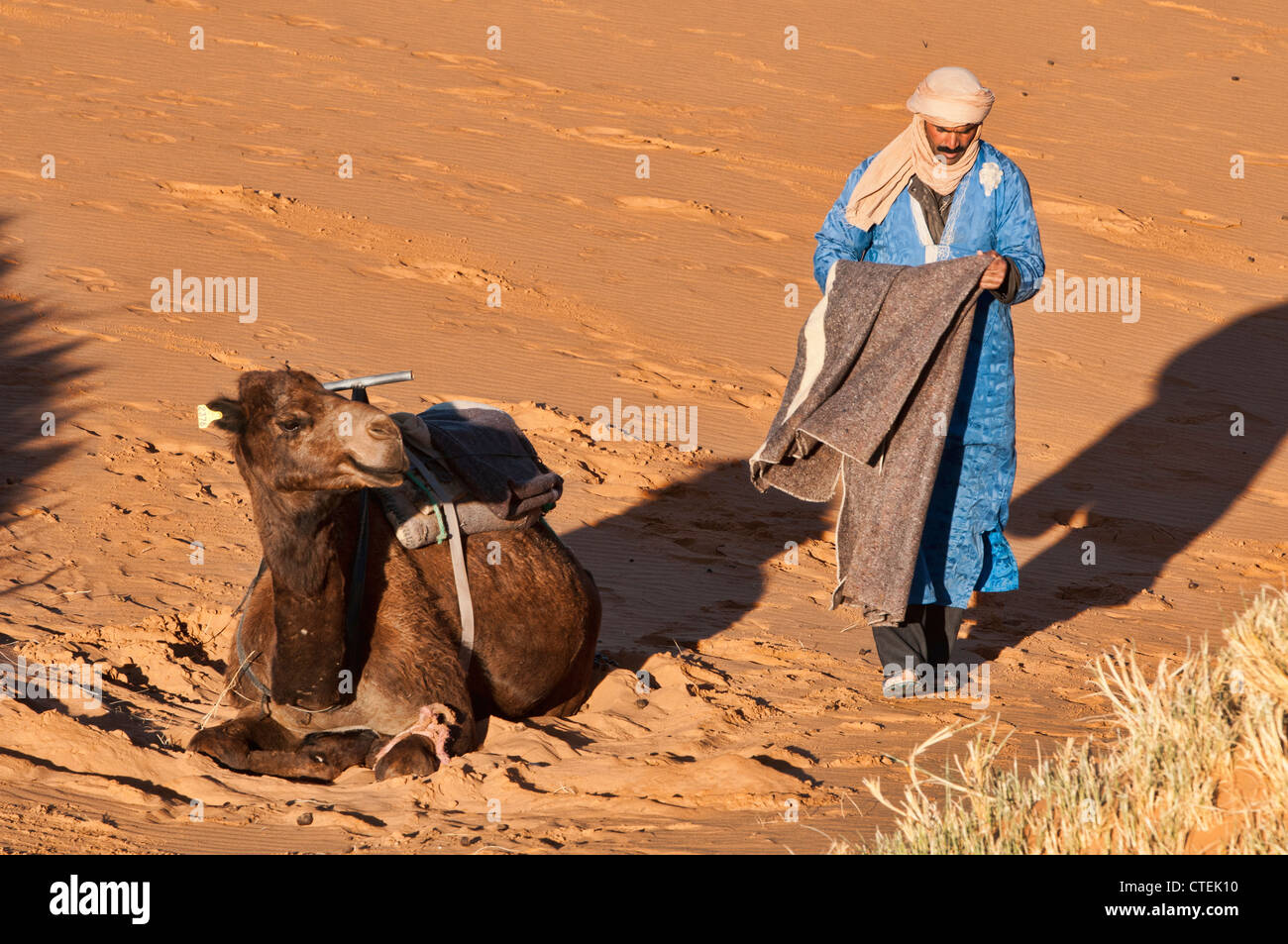 A Berber and his camel in the Sahara near Merzouga, Erg Chebbi, Morocco ...