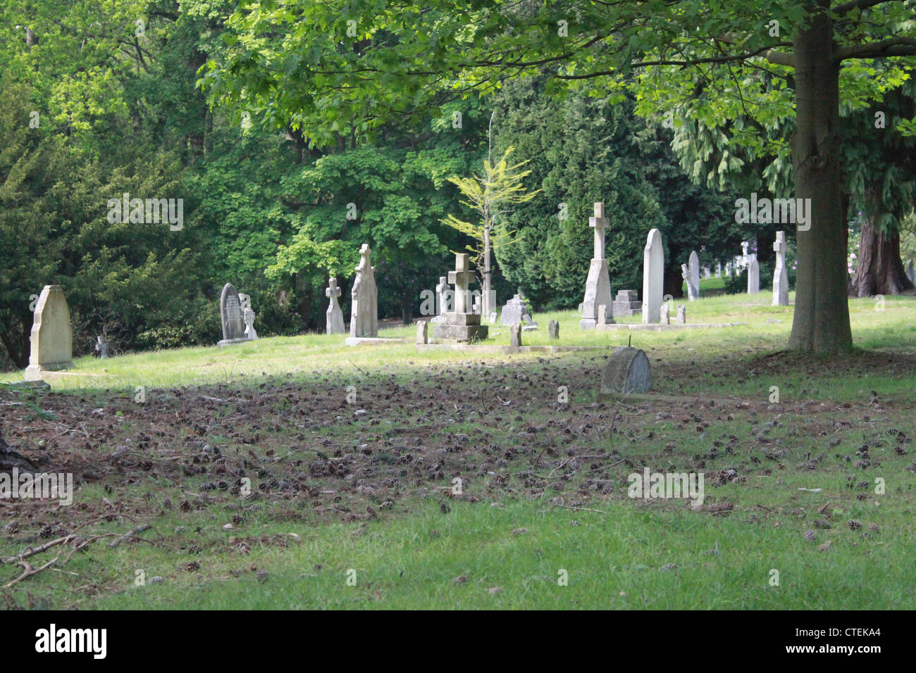 Netley military cemetery hi-res stock photography and images - Alamy