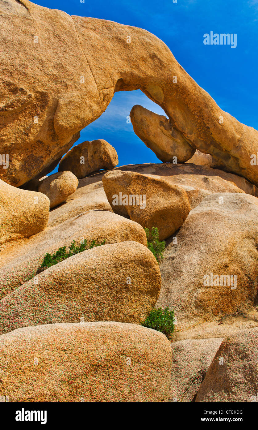 USA, California, Joshua Tree National Park, Arch rock Stock Photo - Alamy