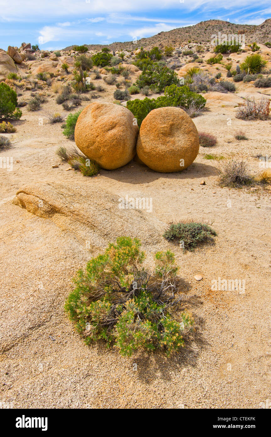 USA, California, Joshua Tree National Park, Boulders in desert Stock ...