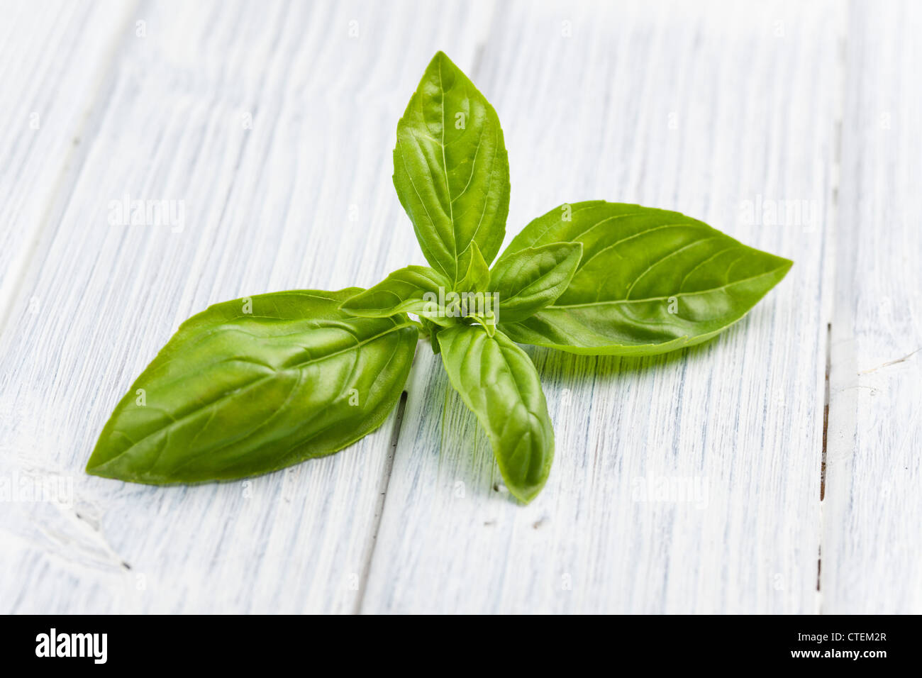Basil leave hi-res stock photography and images - Alamy
