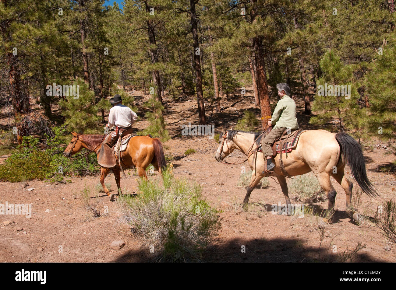 Horseback ride hi-res stock photography and images - Alamy