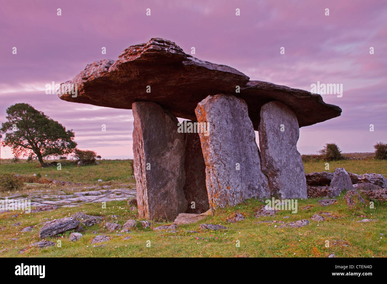 Poulnabrone Portal Dolmen In The Burren Region; County Clare, Ireland ...